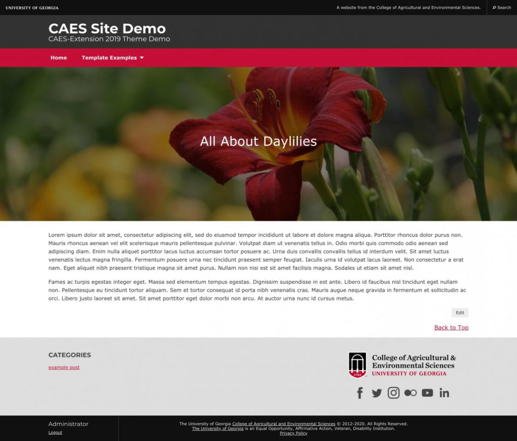 WordPress: Add banners to your site with Cover Blocks | CAES Office of ...