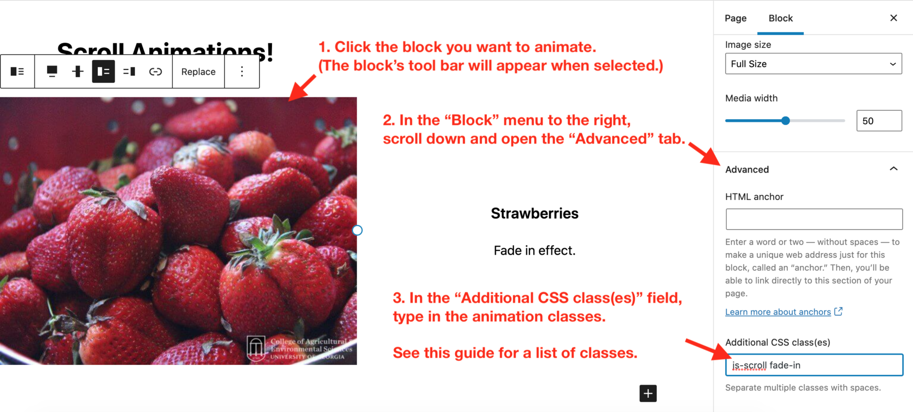 WordPress: Scroll Animations | CAES Office of Information Technology